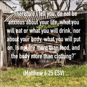 Birds, Flowers, Moths, Rust, Thieves, and You (Matthew 6:25-30) - Grace ...